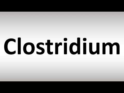 How to Pronounce Clostridium