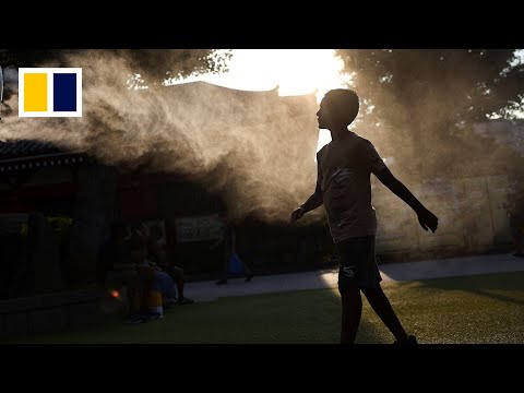Rice Harvest Suffers Under Japan’s Brutal Heat – This is Not Cool