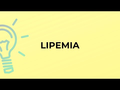 What is the meaning of the word LIPEMIA?