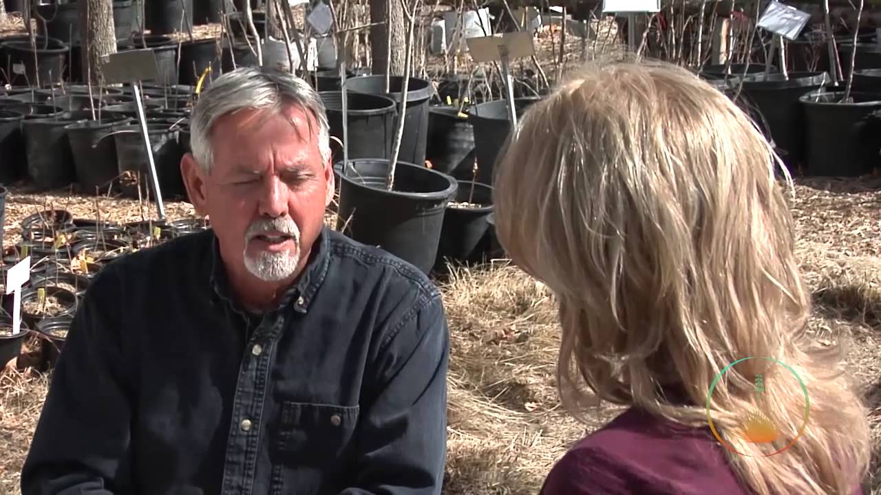 Landscaping Southwest.   Principles of Xeriscape, Planning and Design