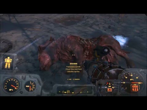 Steam Community :: Video :: Fallout 4 Cow Tactics