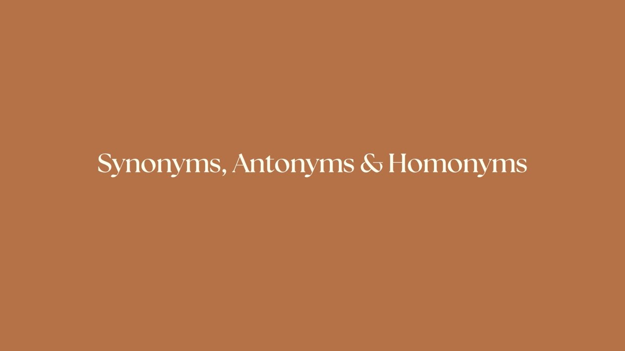 Understanding Synonyms, Antonyms, and Homonyms: A Comprehensive Guide | Galaxy.ai
