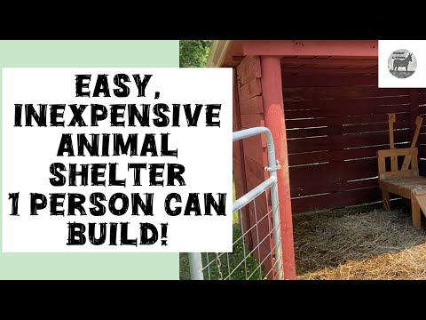 Build a Livestock Shed! One person build! Easy & Inexpensive
