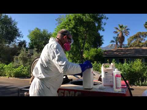 Treatment for Sycamore Trees invected with the Shot Hole Borer Beetle. 5