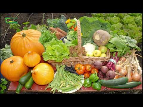 Farm Diversification and Rural Tourism 2020