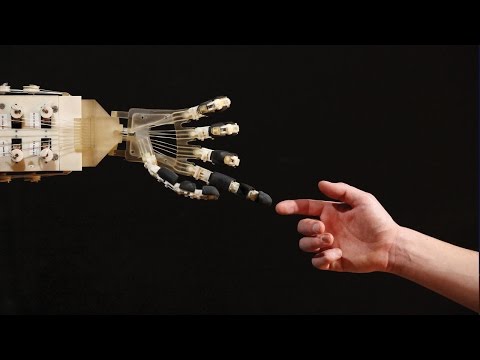 This Is the Future of Robots | Fortune
