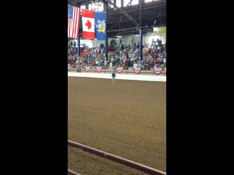New york state fair 9/4/15