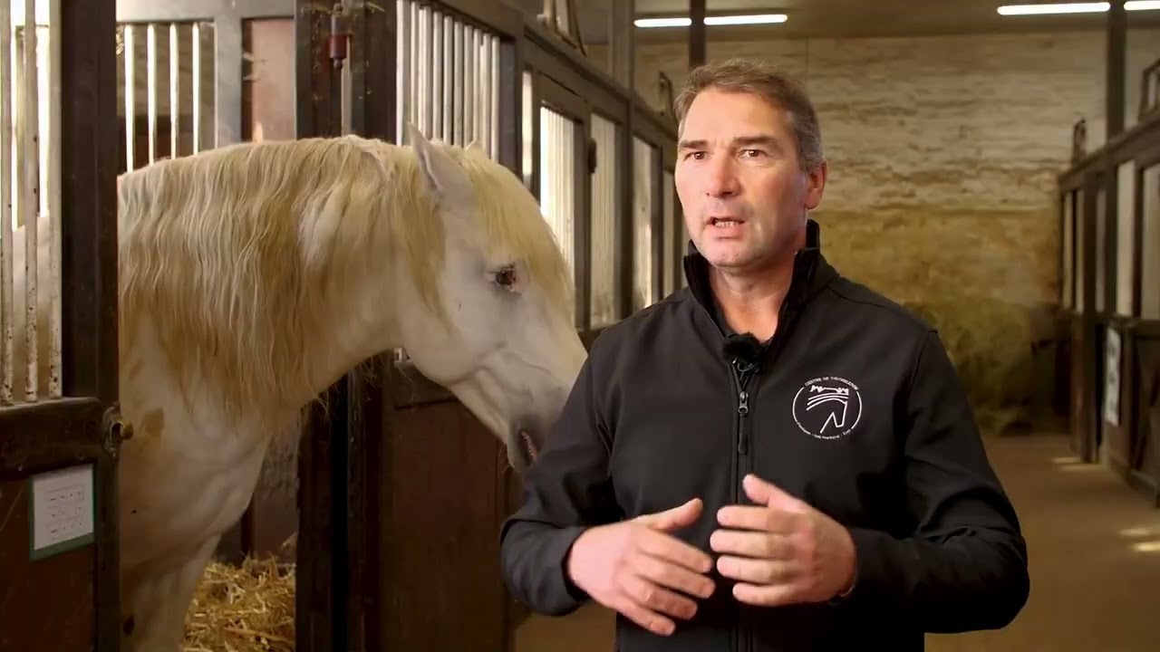 Grand projet Haras du Pin : objectif Métiers