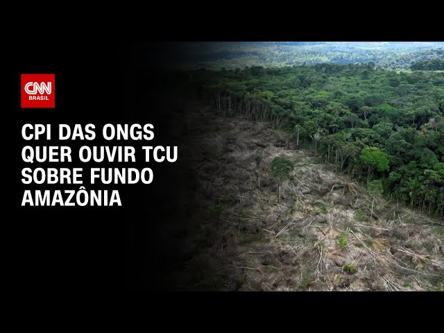 Cpi Das Ongs Quer Ouvir Tcu Sobre Uso De Recursos Do Fundo Amazônia