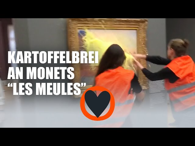 "Permanently glue them to the wall": Viral video of climate protestors ...