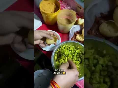Delhi Darshan ||street food chaat stalls | #bhukkadbros #delhigram #delhistreetfood #delhifoodwalks