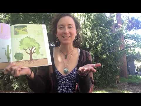 Spanish: Trees, Garden, Tulip!