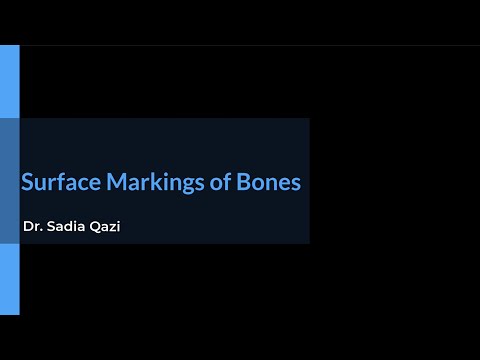 Surface Markings of Bones