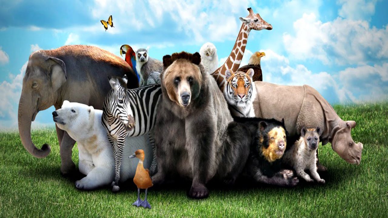 25 Animals That Are Larger Than You Realize
