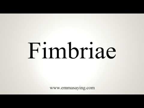 How To Pronounce Fimbriae