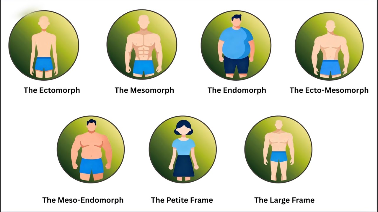 The 7 Body Type and What Evolutionary Advantage They Hide