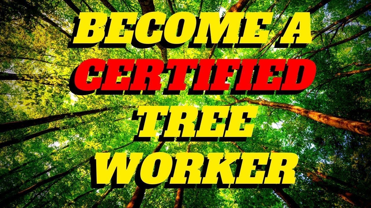 HOW TO PRACTICE THE CERTIFIED TREE WORKER EXAM (Old Version)