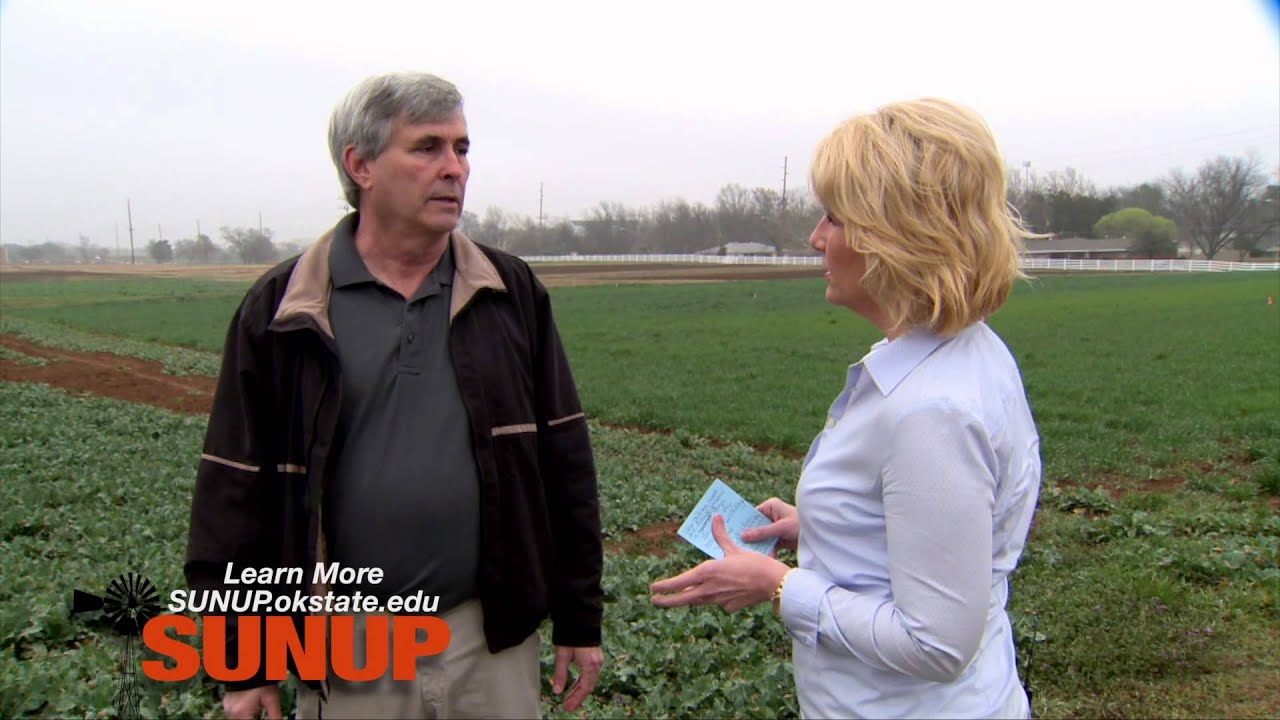 Army Cutworms (3/21/15)