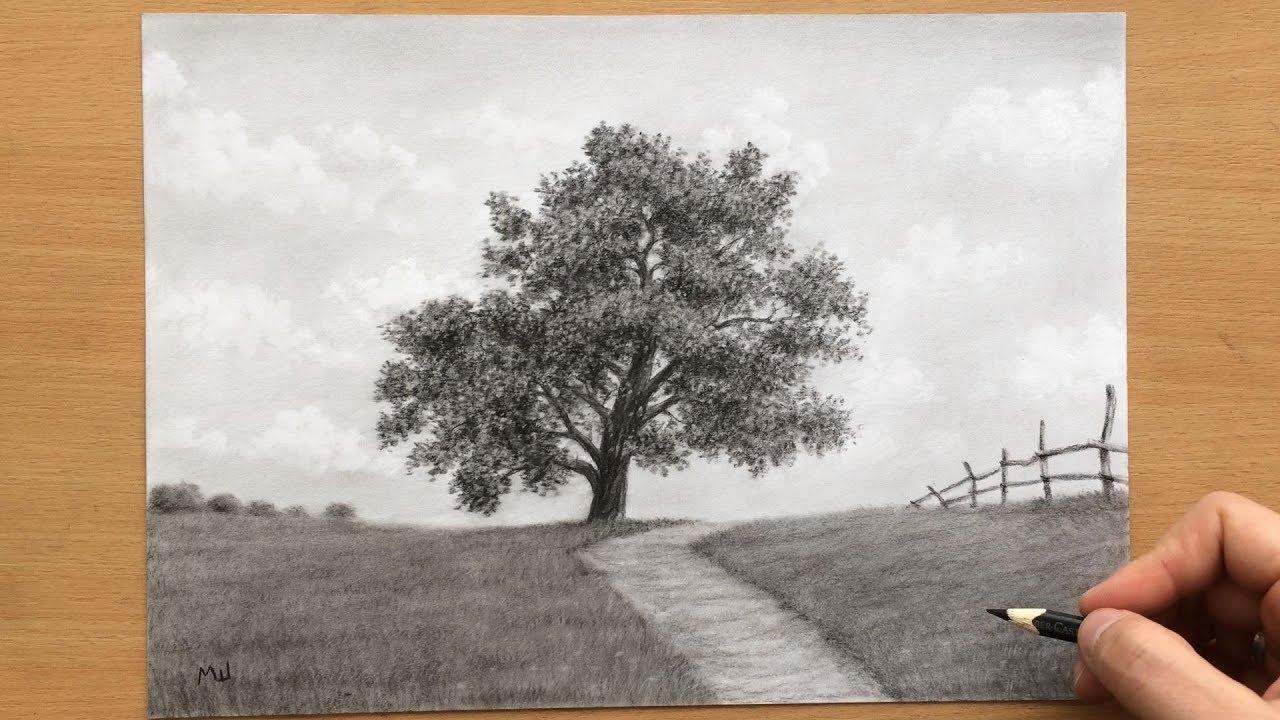 Oak Tree - Charcoal Landscape Drawing Time Lapse