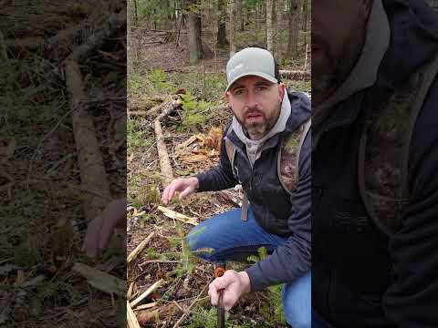 Michigan hunting lease now available on HLRBO!