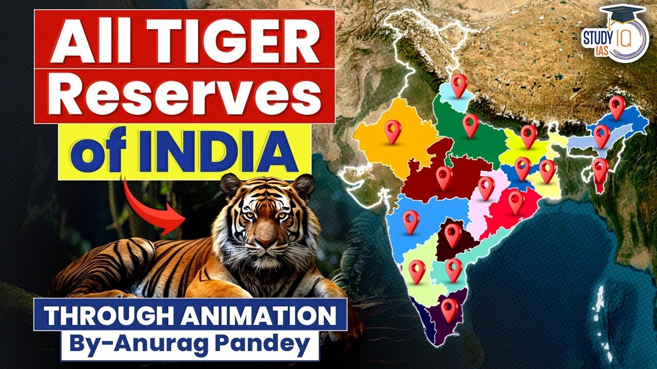 Exploring the Tiger Reserves of India: A Comprehensive Guide | Galaxy.ai