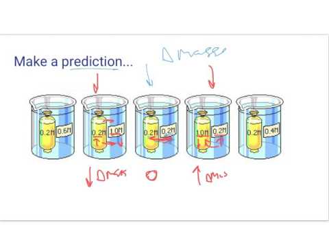 Water Potential