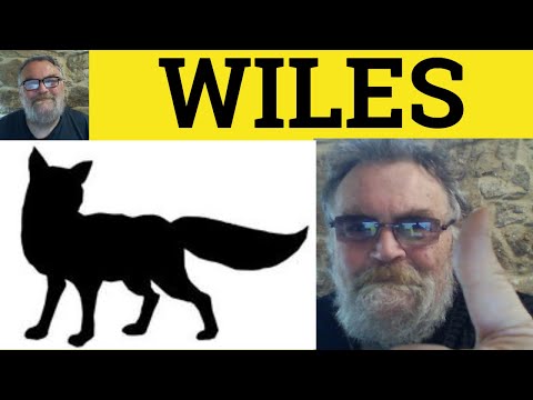 🔵 Wiles Meaning - Wily Examples - Wiles Definition - Describing People - Wile Wiles Wily