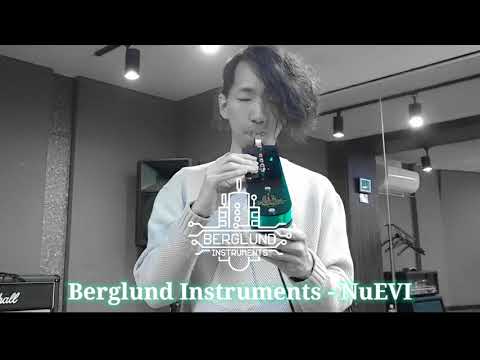 Berglund Instruments NuEVI [midi EVI trumpet controller] | Reverb