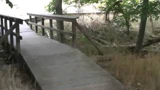 3 Best Hiking Trails in Springfield, MO - Expert Recommendations