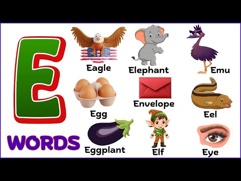 Letter E Words | Learn Words Starting With Letter E | Fun Alphabet Learning Video for kindergarten