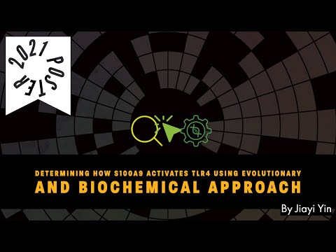 Determining How S100A9 Activates TLR4 Using Evolutionary and Biochemical Approach