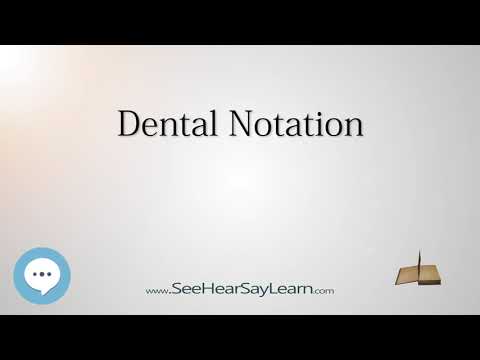 Dental Notation - Everything Dentistry πππβ
