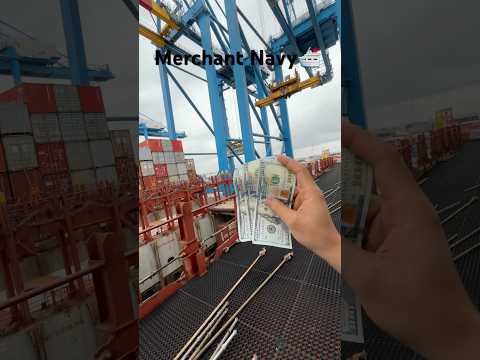 Merchant Navy Salary😳🛳️🗿 #explore #reels #shortvideo