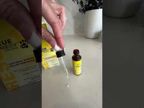 Honest Review of Rescue Remedy for Dogs
