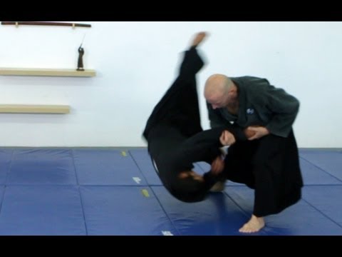 Ninjutsu Joint Locks: Principles, Applications, and Variations | AKBAN