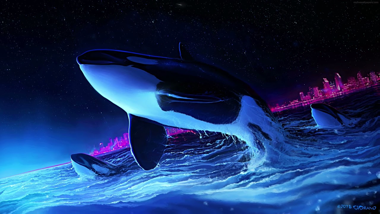Orcas live wallpaper