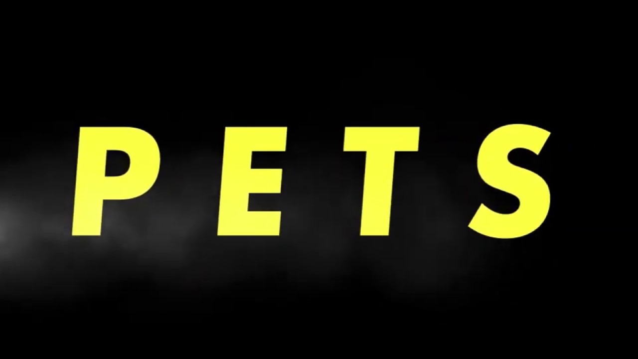 PETS CVI Video (from Keynote)