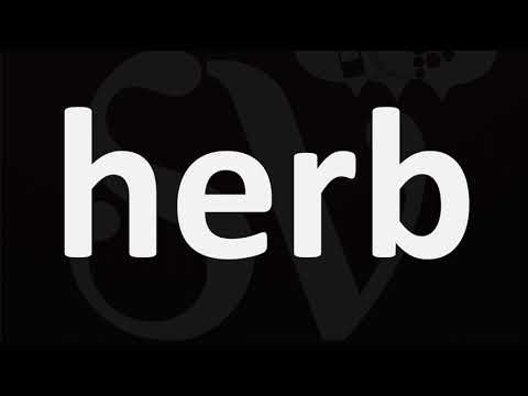 How to Pronounce HERB