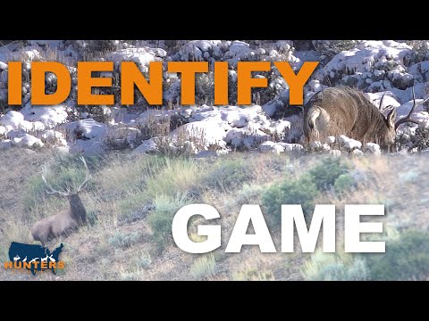 HOW TO IDENTIFY GAME SPECIES | Hunters Connect