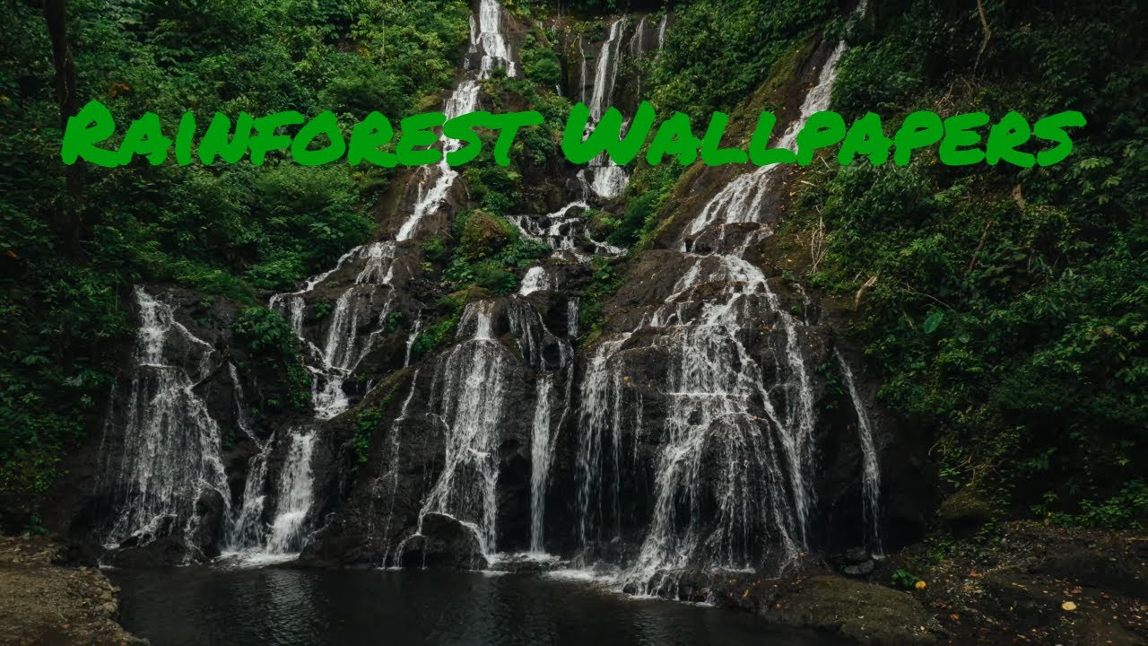 Rainforest Wallpapers 4K (Dream Space Music)