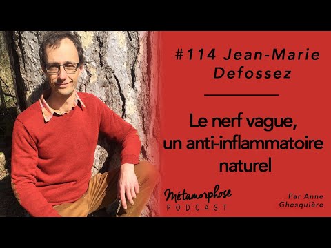 #114 Jean-Marie Defossez : Le nerf vague, un anti-inflammatoire naturel