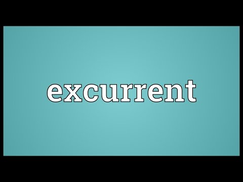 Excurrent Meaning
