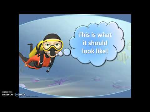 Synonyms and Antonyms Lesson