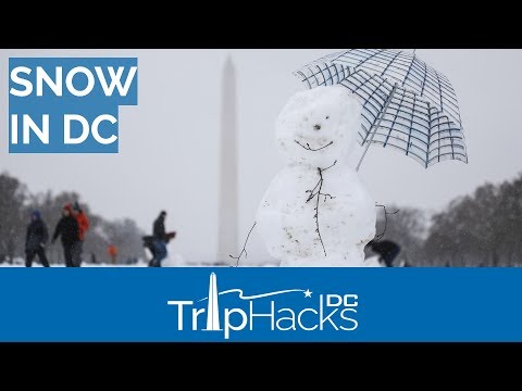 What Happens When it SNOWS in Washington DC
