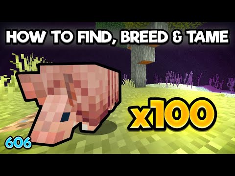 1.21: How To Find & Breed Armadillos (In The END)