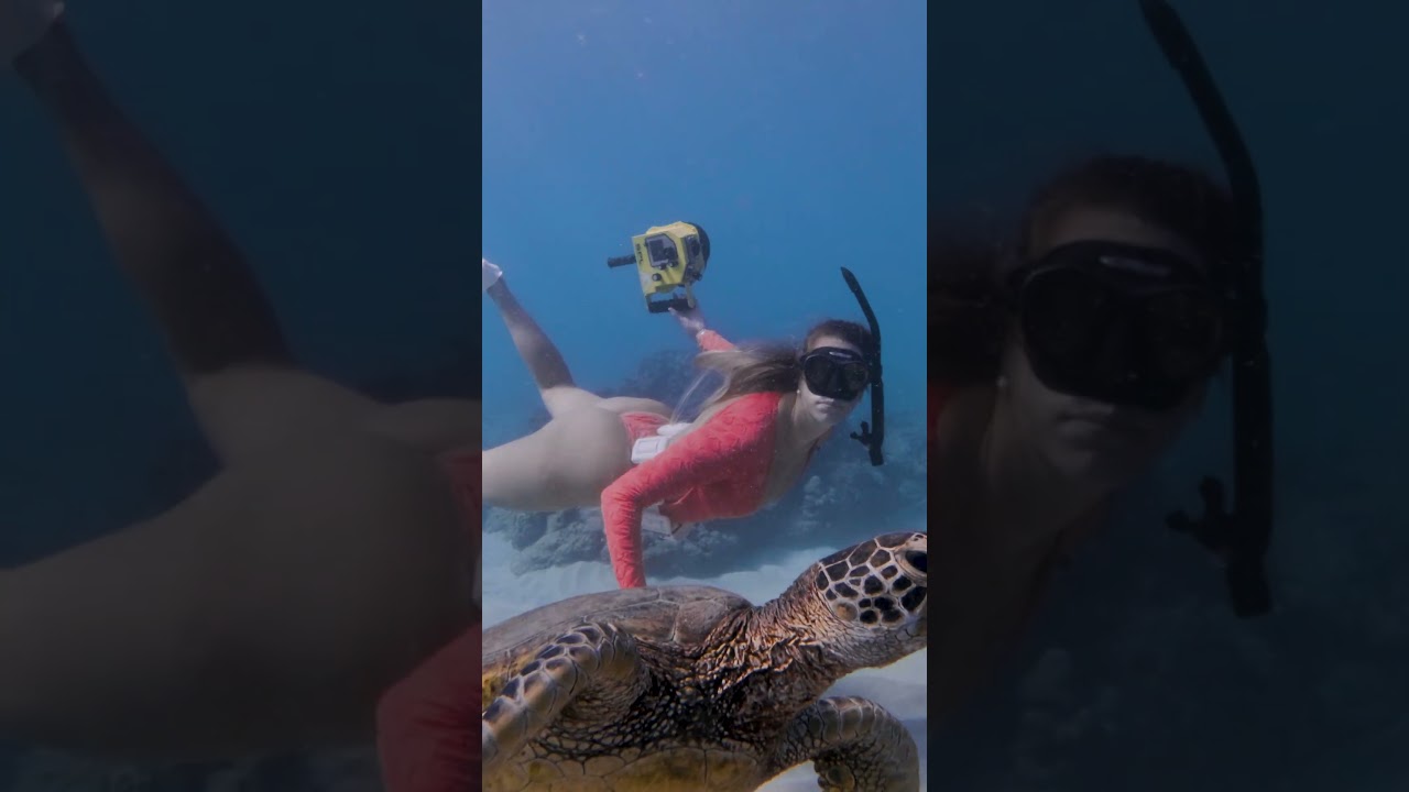 swimming with a HONU! #shorts