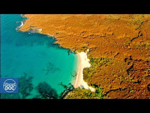 Canary Islands - Full Documentary