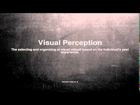 Medical vocabulary: What does Visual Perception mean