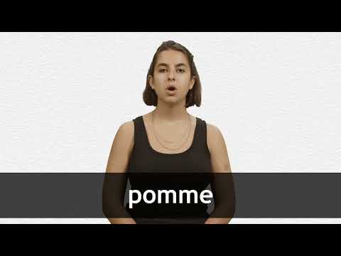 English Translation of “POMME” | Collins French-English Dictionary