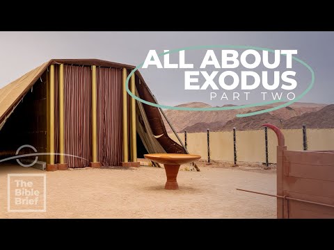 All About Exodus Part 2 | The Bible Brief With Lori Denning